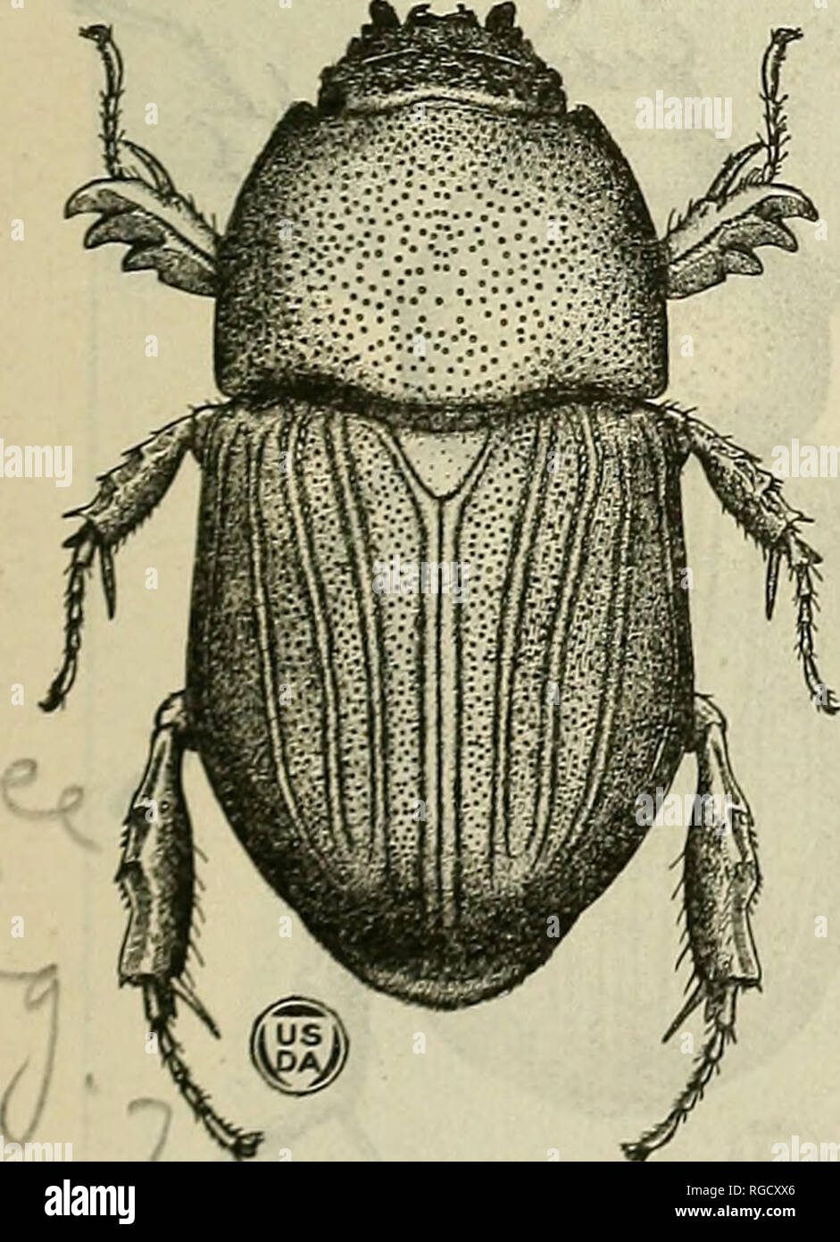 . Bulletin of the U.S. Department of Agriculture. Agriculture ...