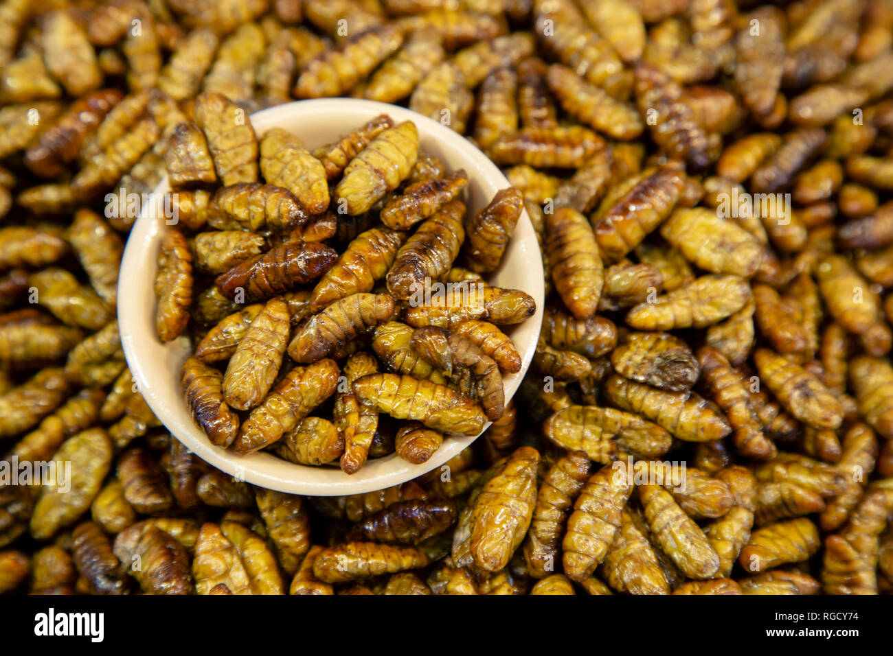 An arrangement of a traditional Thai street food snack of deep fried ...