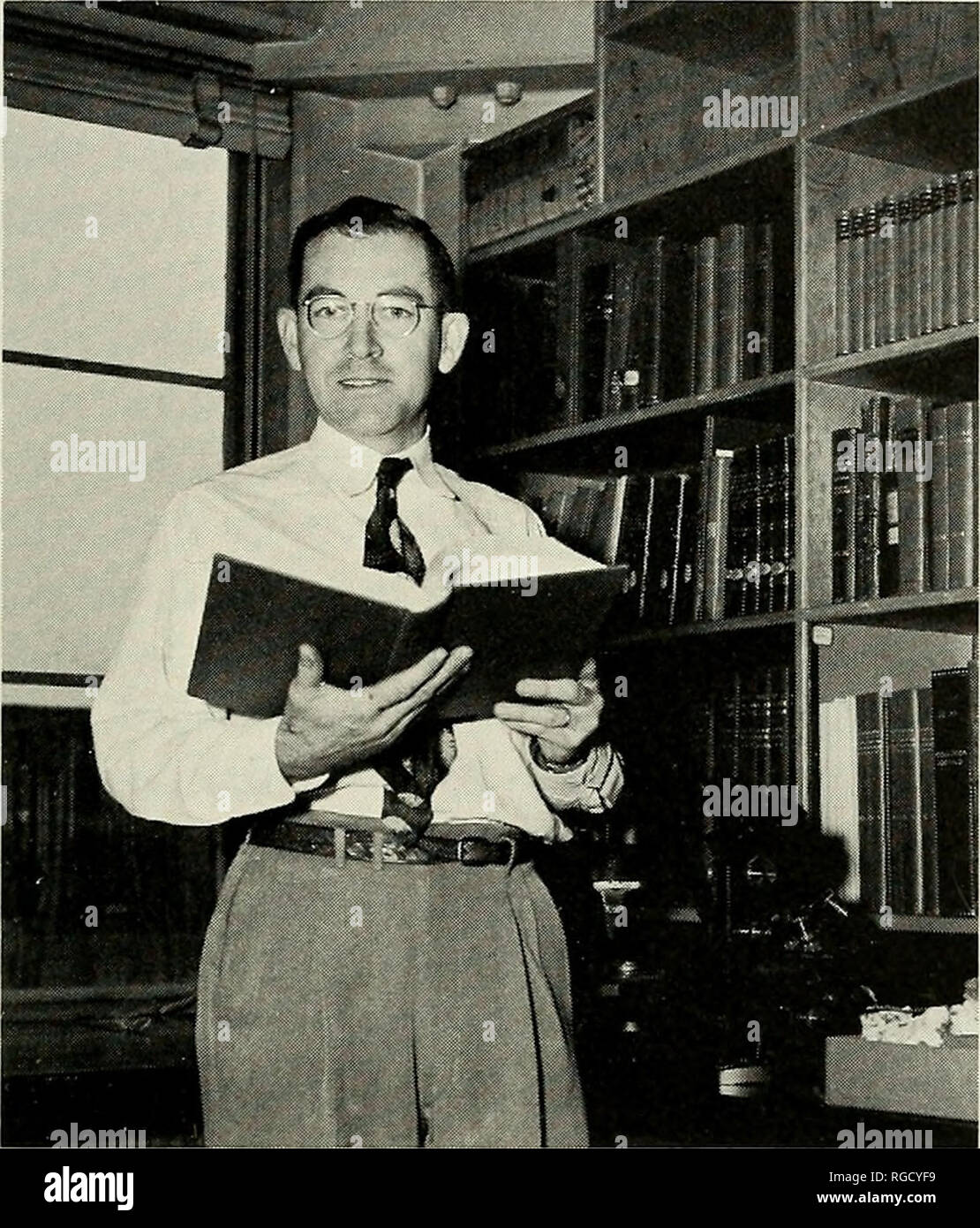 Elmer beach hi-res stock photography and images - Alamy