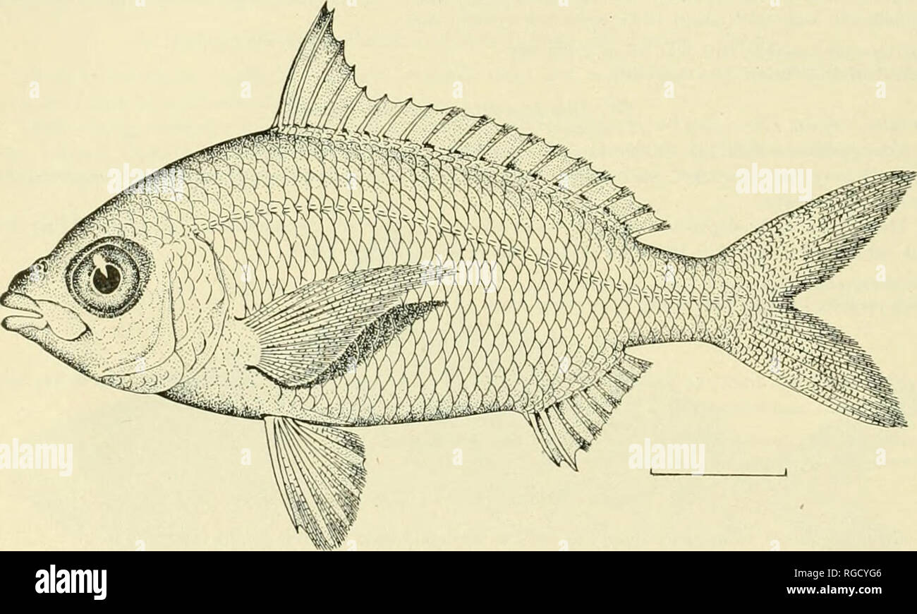 Back strongly convex hi-res stock photography and images - Alamy