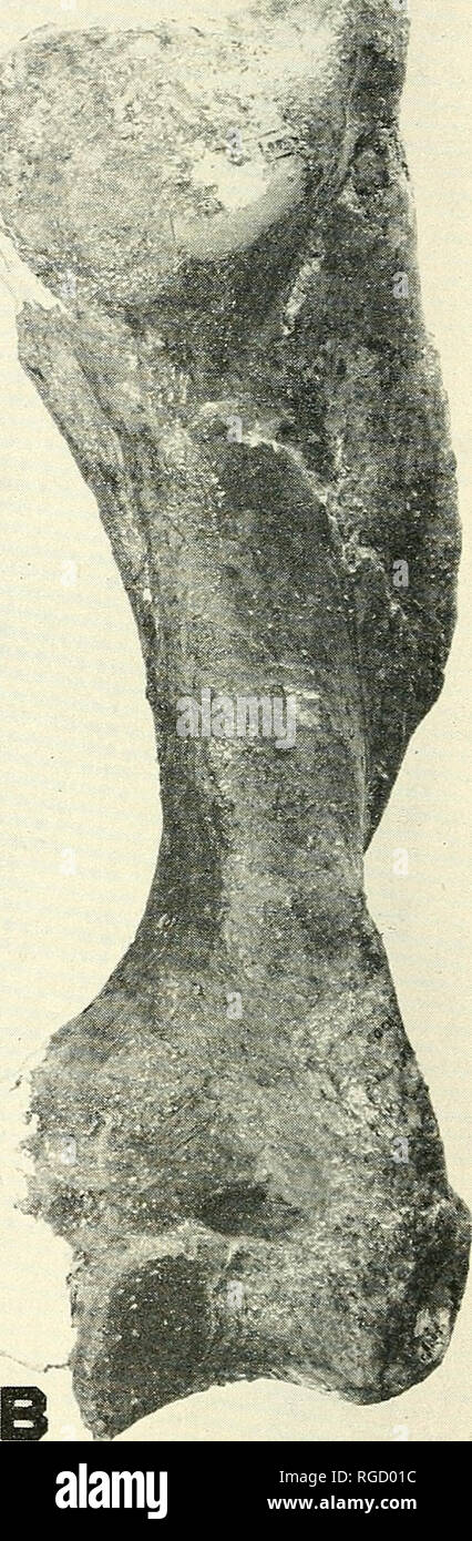 . Bulletin of the Southern California Academy of Sciences. Science ...