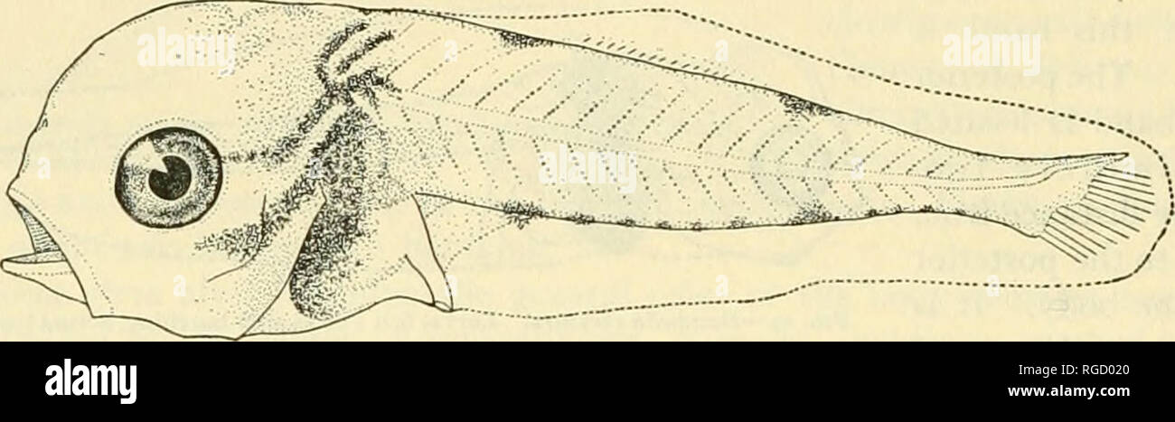 Continuous vent hi-res stock photography and images - Alamy