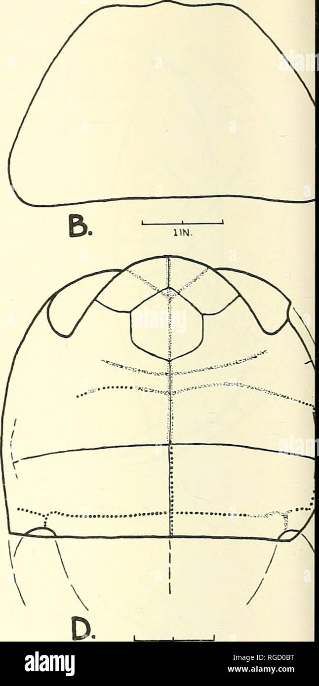 Distorted lip hi-res stock photography and images - Alamy