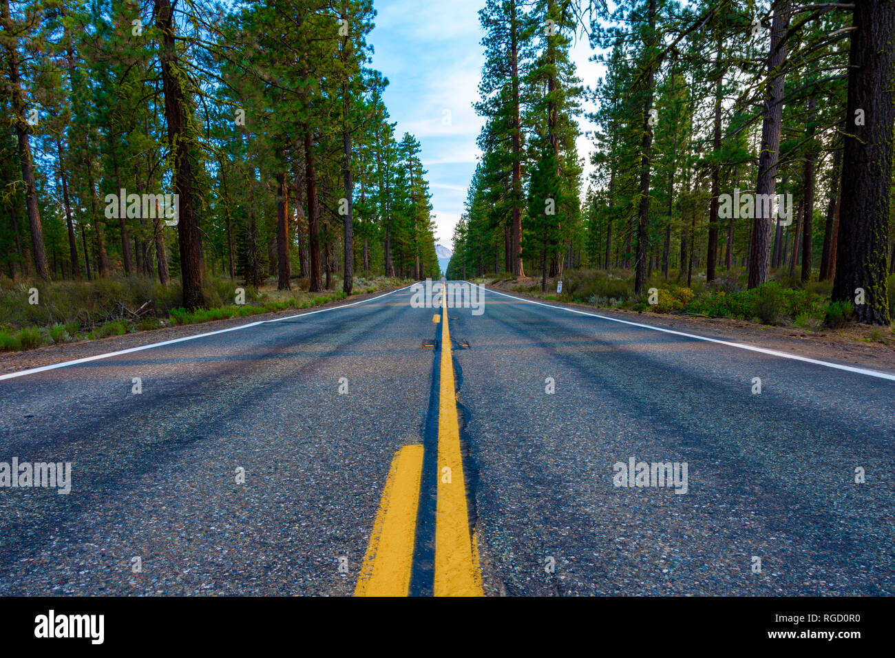 Shot of an empty two-lane road that goes in the middle of the forest ...