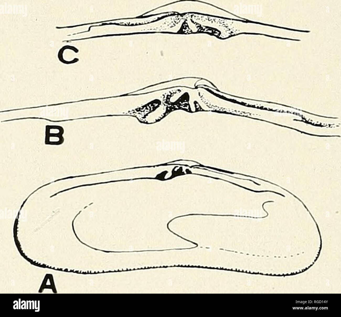 Marginal sculpture hi-res stock photography and images - Alamy