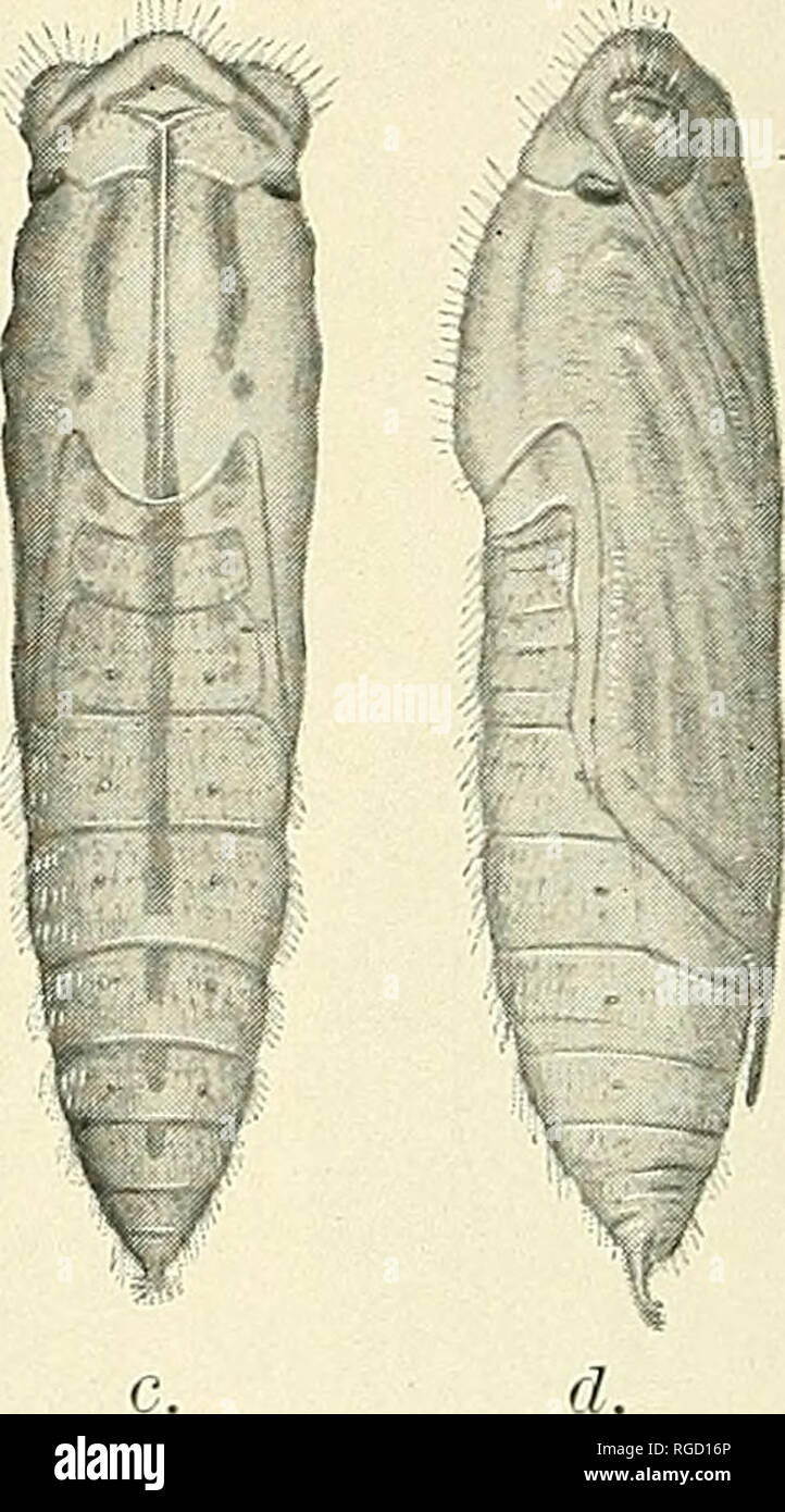 . Bulletin of the Southern California Academy of Sciences. Science ...