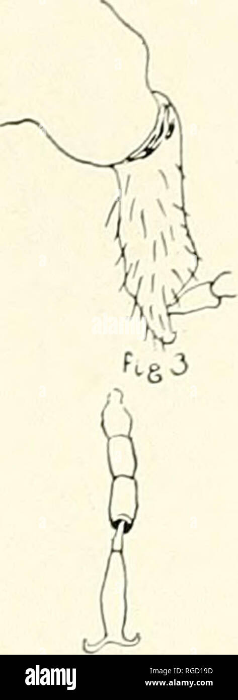 . Bulletin of the Southern California Academy of Sciences. Science ...