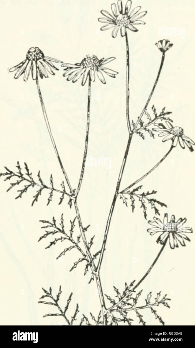 . The Bulletin of the North Carolina Department of Agriculture ...