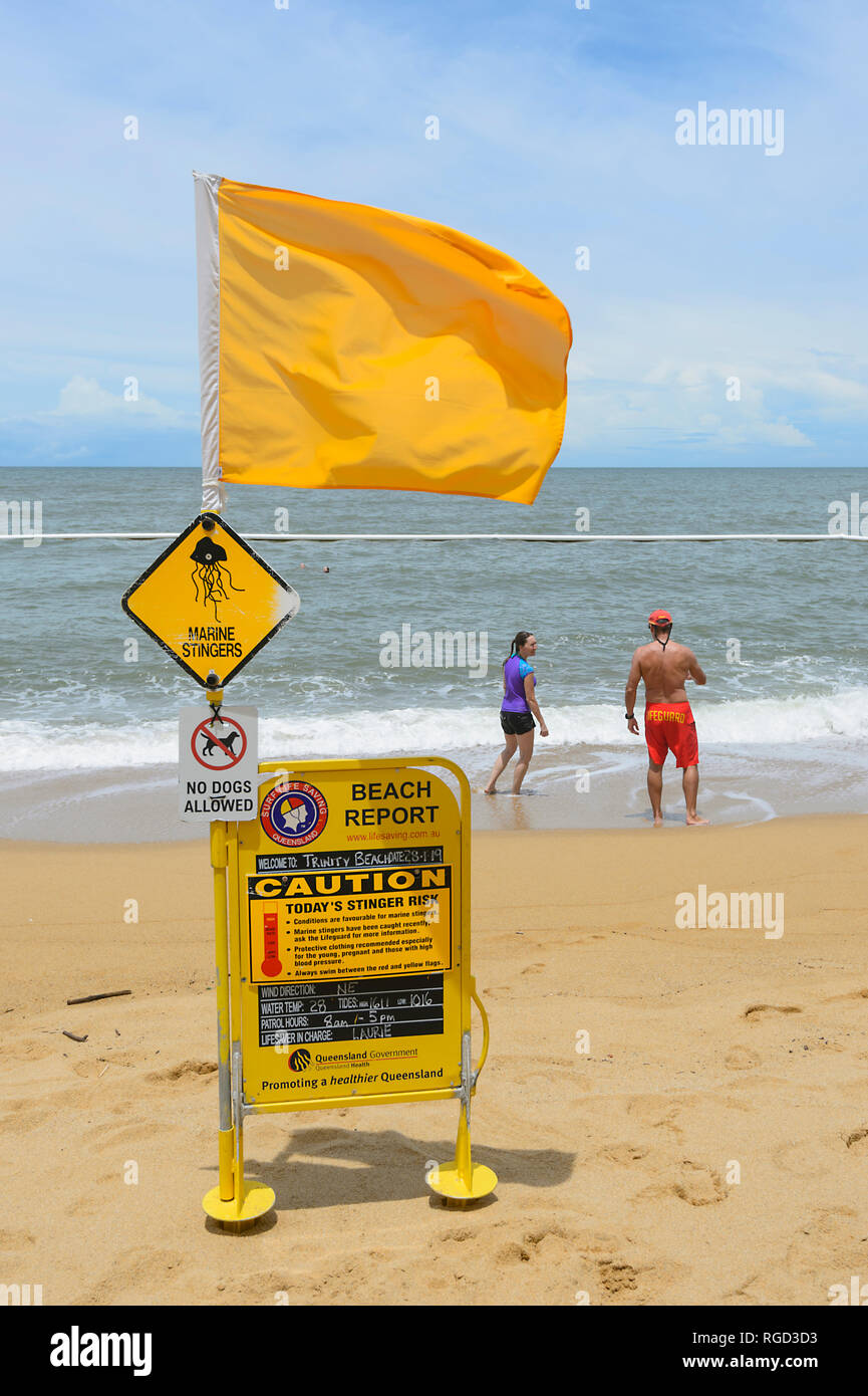Marine stingers hi-res stock photography and images - Alamy