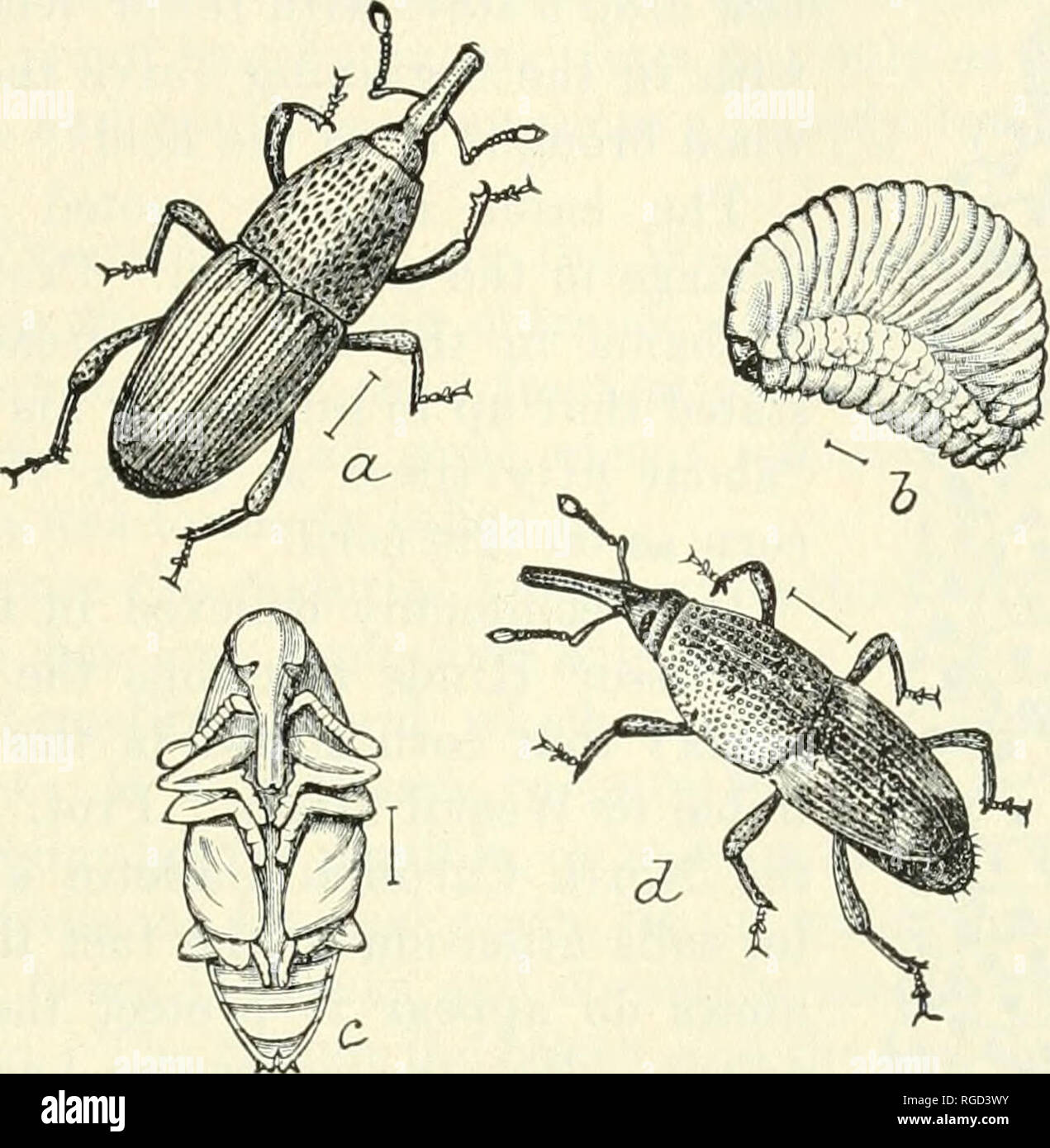 . The Bulletin of the North Carolina Department of Agriculture ...