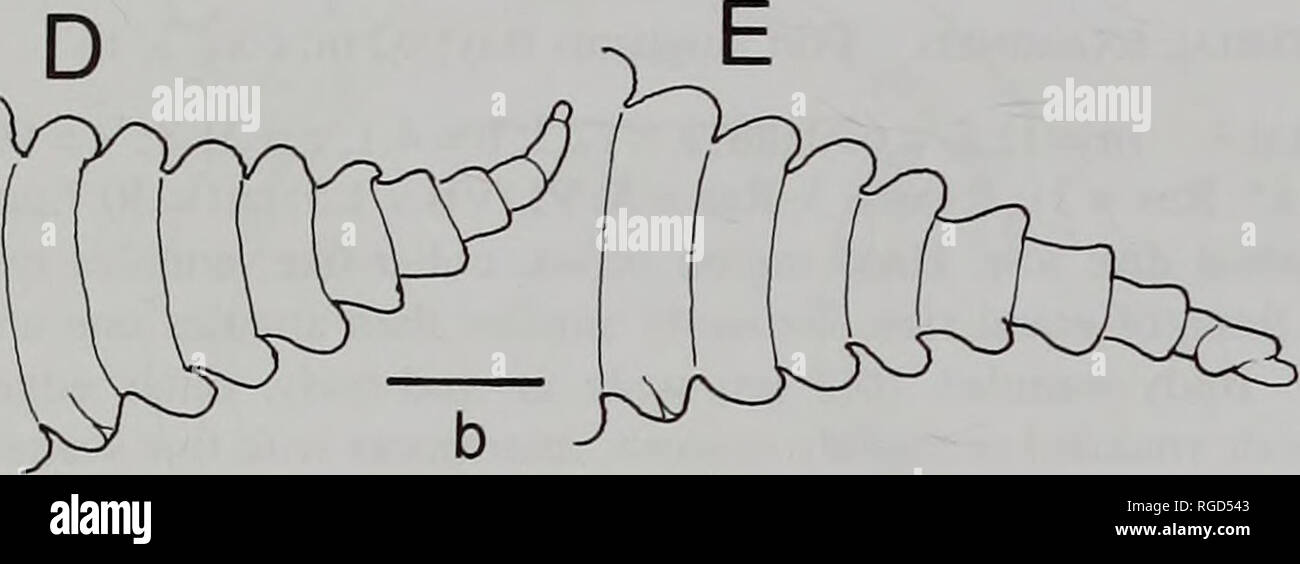 Discoid core hi-res stock photography and images - Alamy