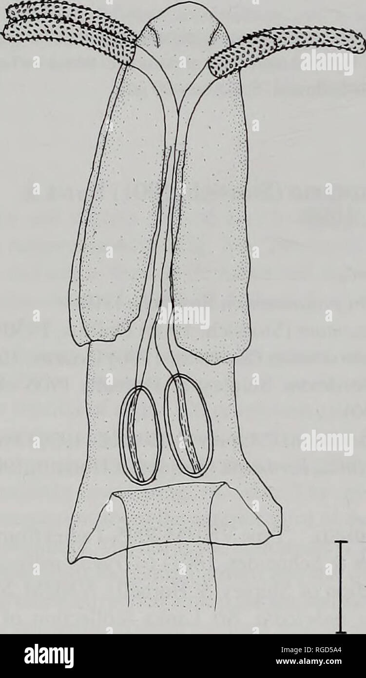. Bulletin of the Natural History Museum Zoology. Fig. 6 Mature ...
