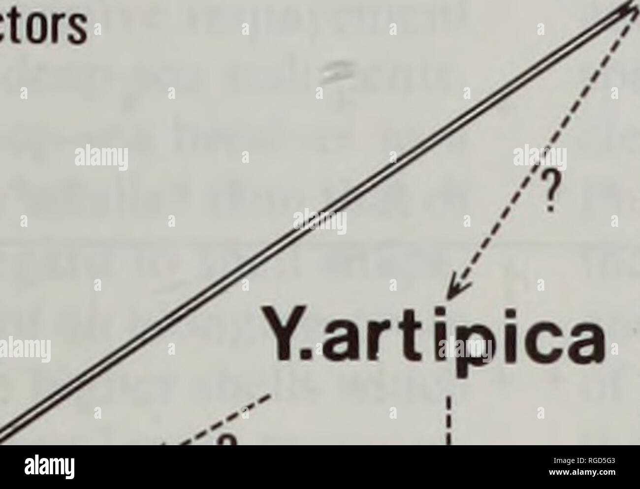 . Bulletin of the Natural History Museum Zoology. fragile shells ...