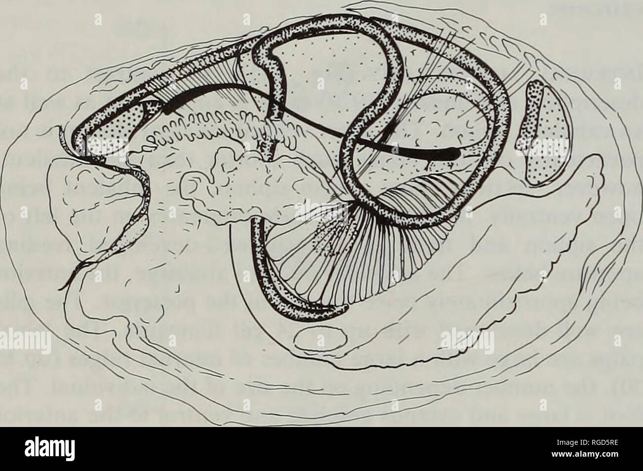 Width 135 mm hi-res stock photography and images - Alamy