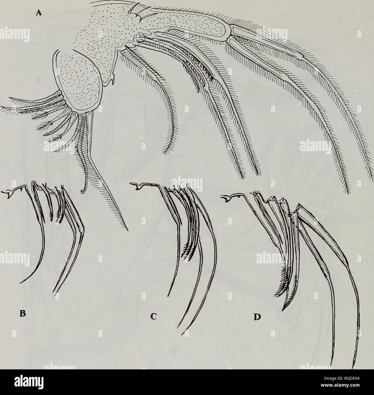 Diameter 28 4 mm hi-res stock photography and images - Alamy