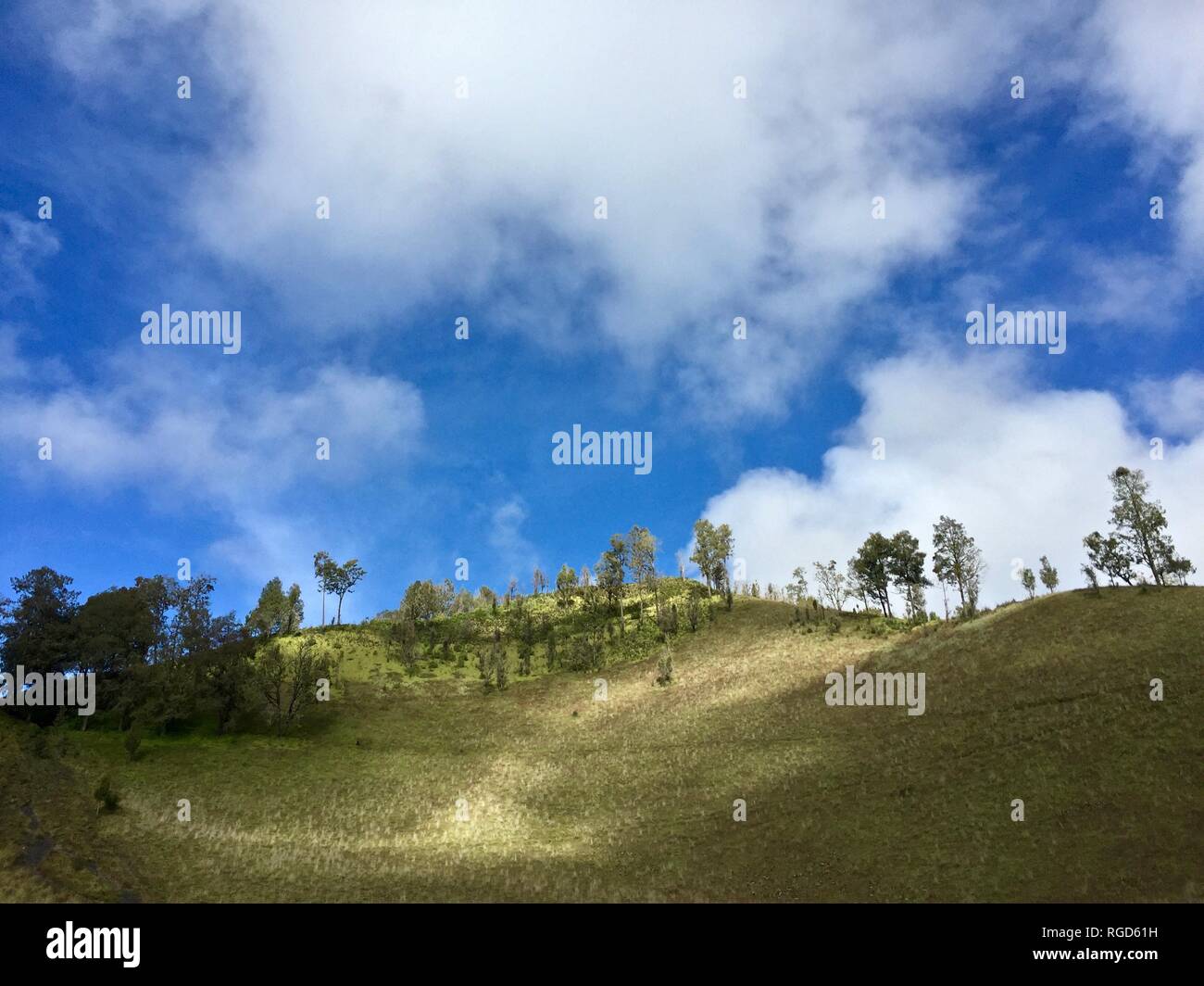 Mount Semeru Hiking Stock Photo - Alamy