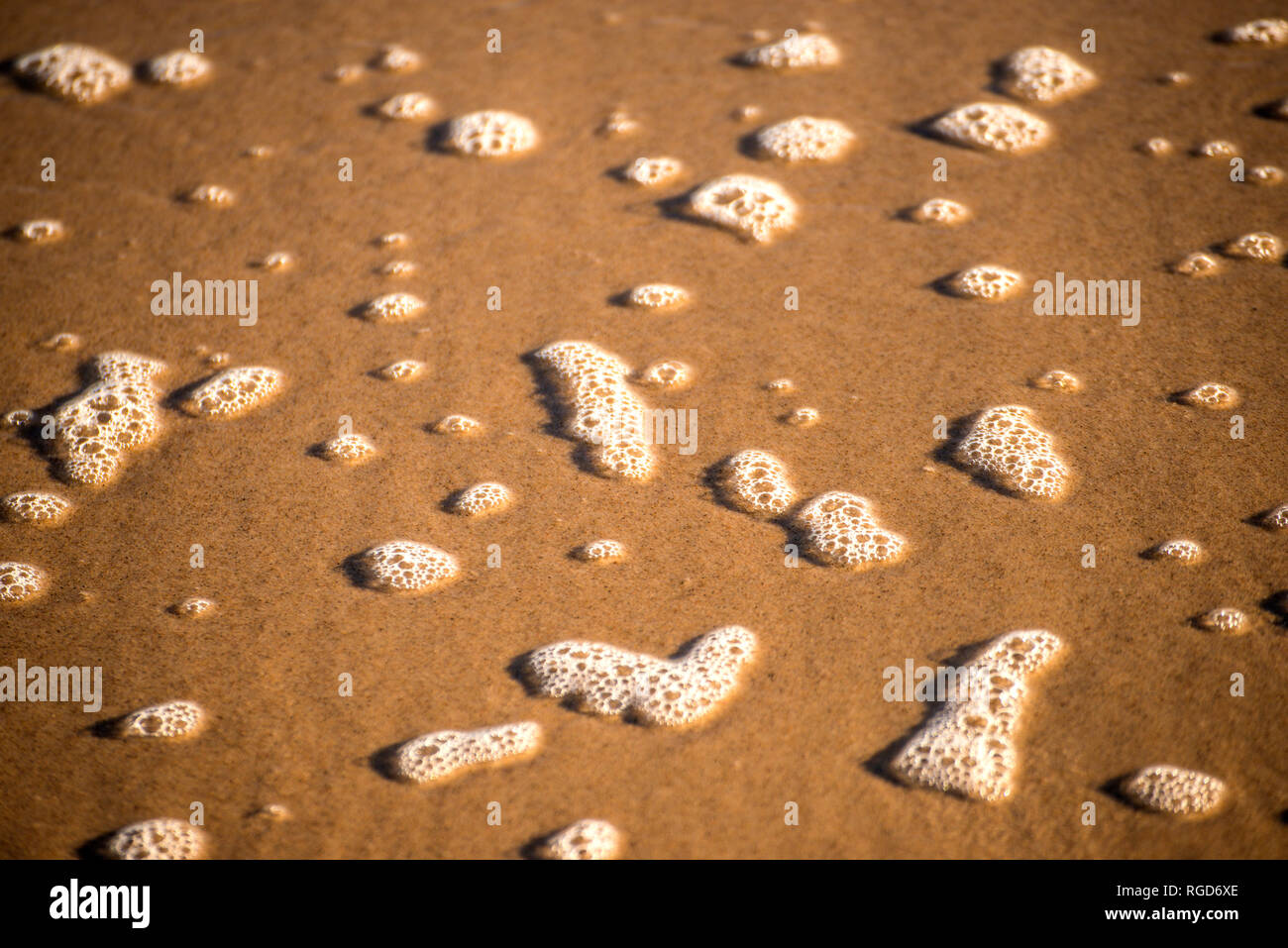 Foam bubbles of the surf on sand Stock Photo - Alamy