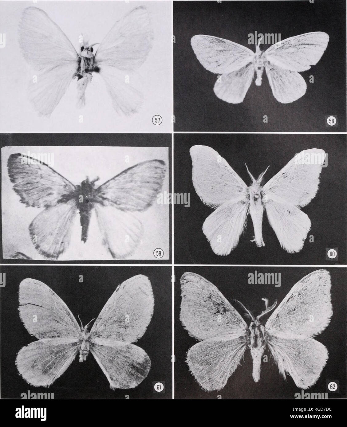 . Bulletin of the Museum of Comparative Zoology at Harvard College ...