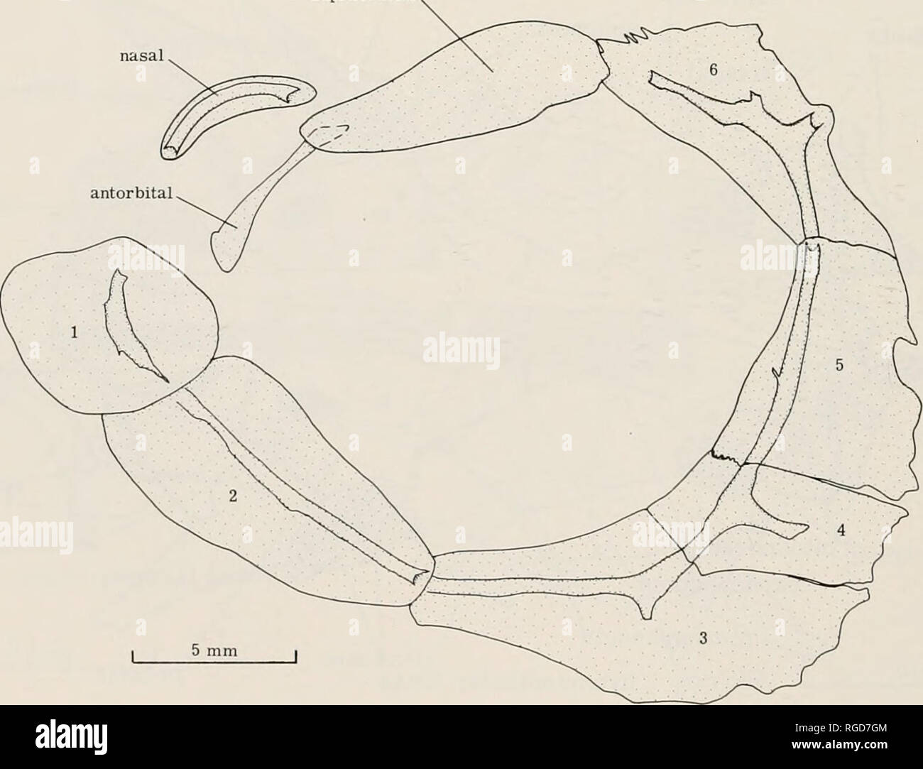 . Bulletin of the Museum of Comparative Zoology at Harvard College ...