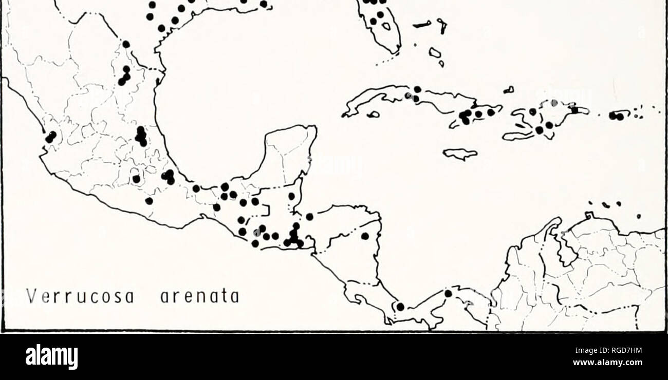 Misplaced map hi-res stock photography and images - Alamy