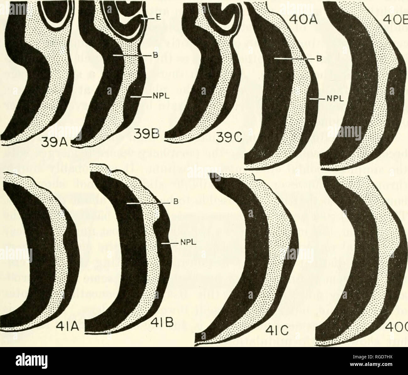 Placode hi-res stock photography and images - Alamy