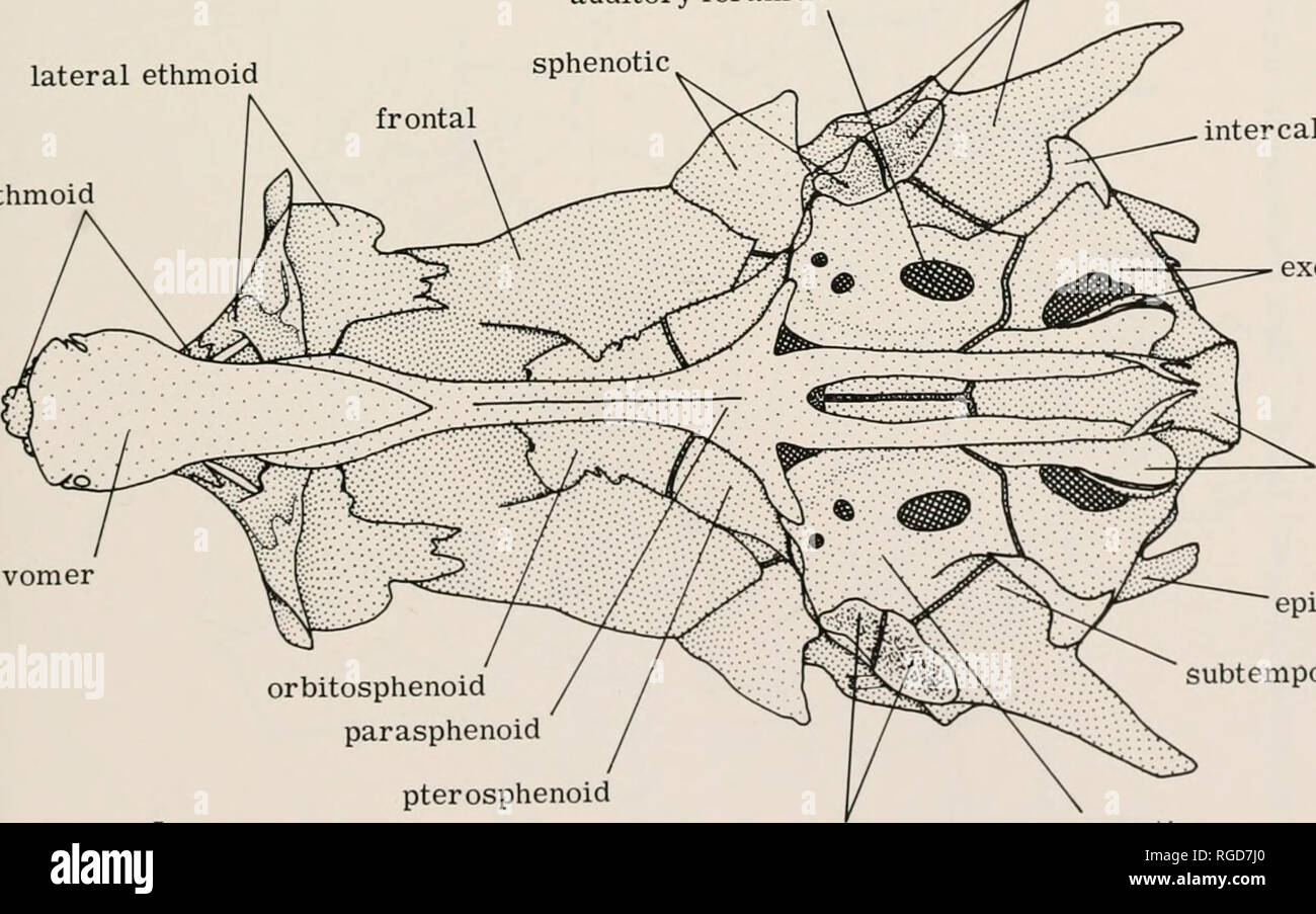 . Bulletin of the Museum of Comparative Zoology at Harvard College ...