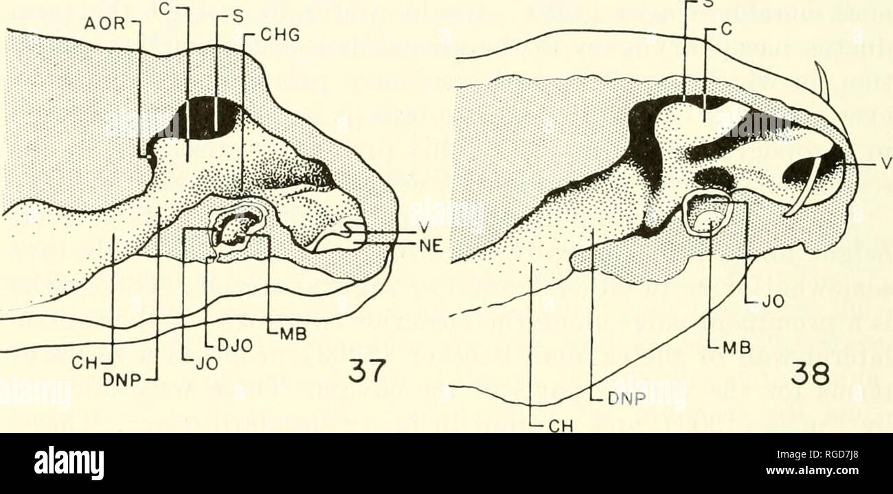 . Bulletin of the Museum of Comparative Zoology at Harvard College ...