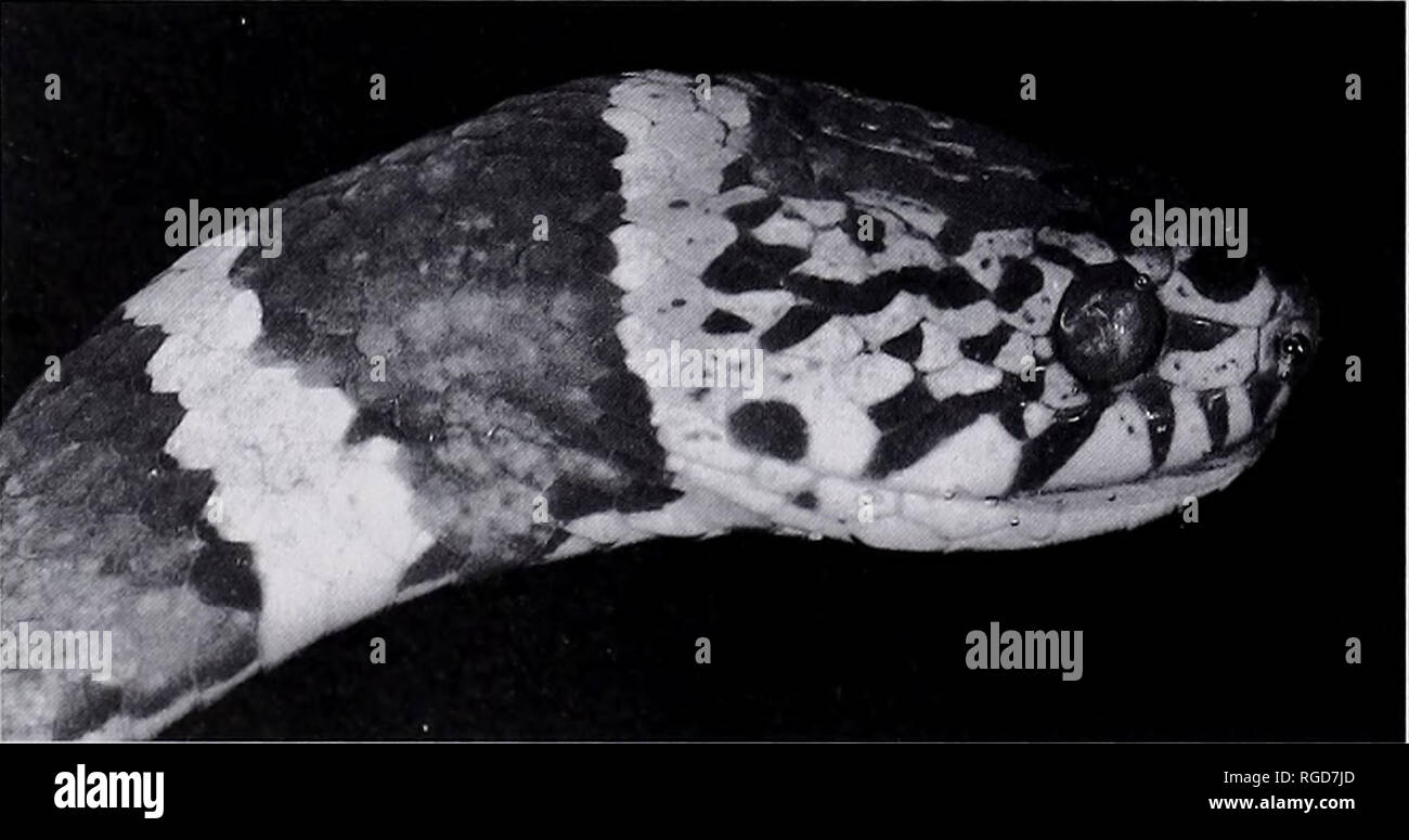 . Bulletin of the Museum of Comparative Zoology at Harvard College ...