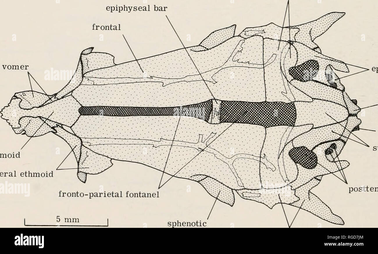 . Bulletin of the Museum of Comparative Zoology at Harvard College ...