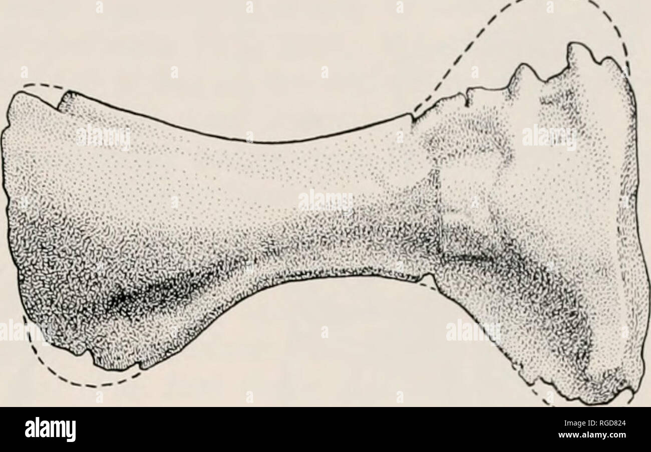 . Bulletin of the Museum of Comparative Zoology at Harvard College ...