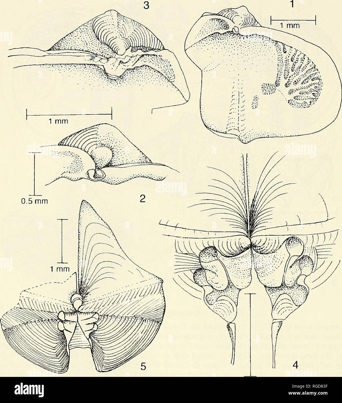 . Bulletin of the Museum of Comparative Zoology at Harvard College ...
