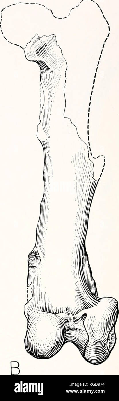 . Bulletin of the Museum of Comparative Zoology at Harvard College ...