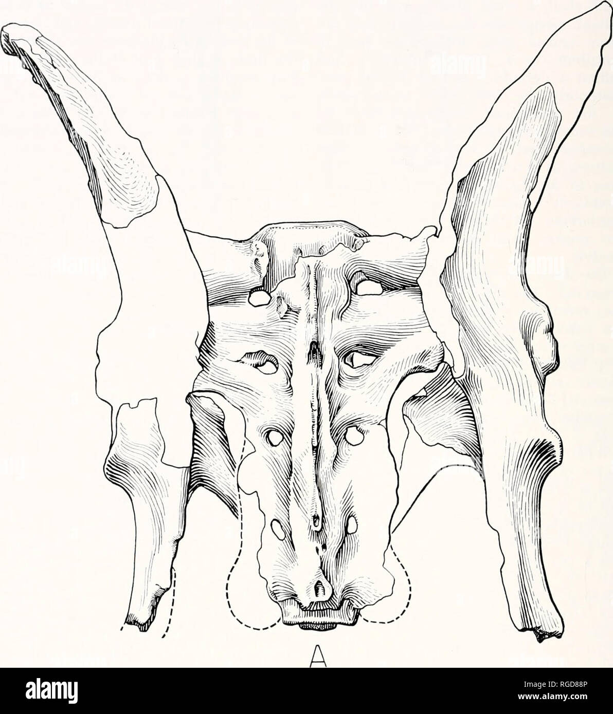 . Bulletin of the Museum of Comparative Zoology at Harvard College ...