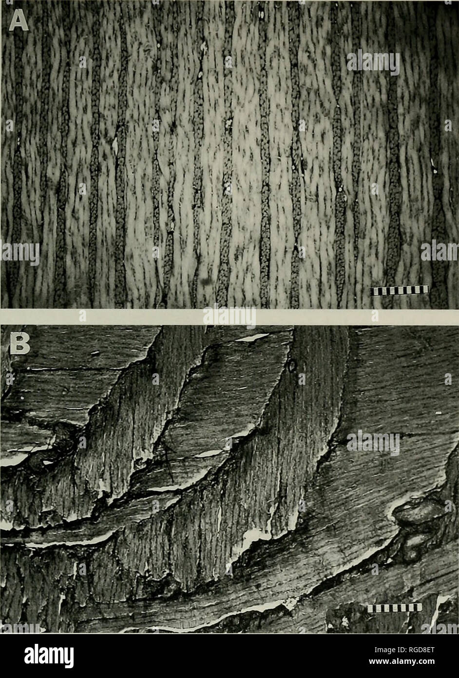 . Bulletin of the Museum of Comparative Zoology at Harvard College ...