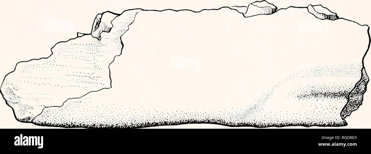 Formula e gen 3 hi-res stock photography and images - Alamy