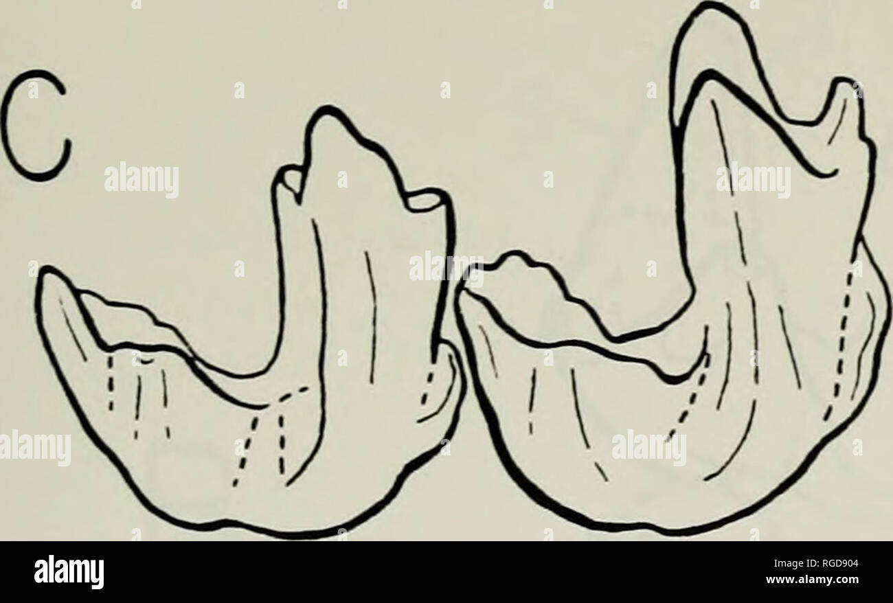 . Bulletin of the Museum of Comparative Zoology at Harvard College ...