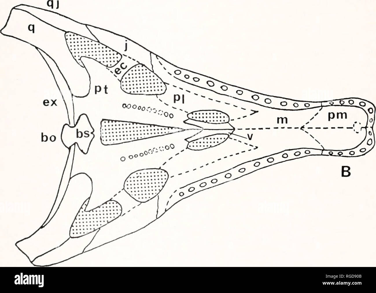 . Bulletin of the Museum of Comparative Zoology at Harvard College ...