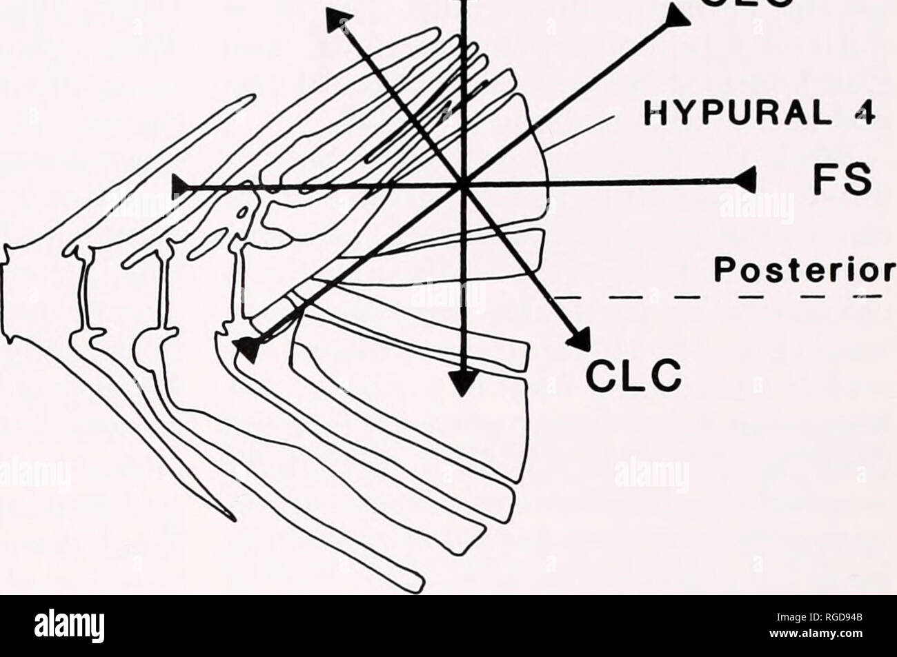 Strain gauge hi-res stock photography and images - Alamy