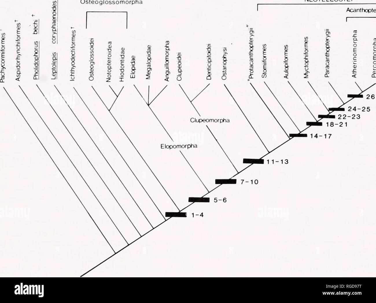 E 150 28 10 hi-res stock photography and images - Alamy