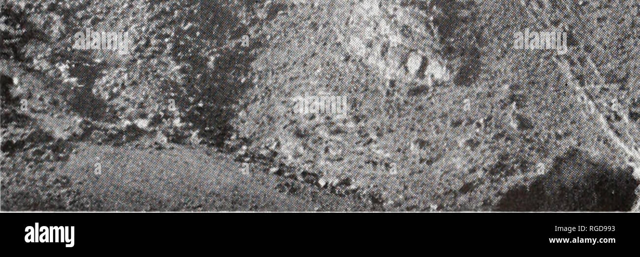 Triassic sandstone ridge hi-res stock photography and images - Alamy