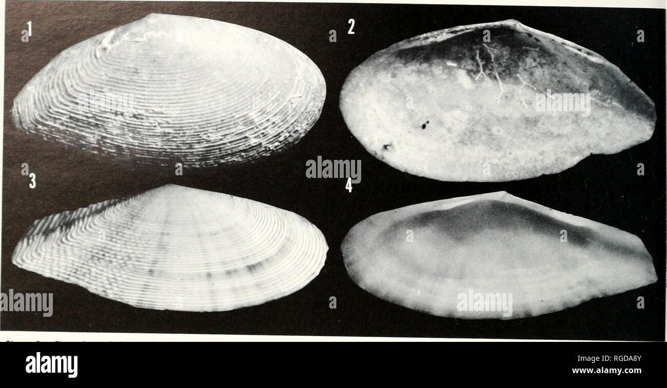 . Bulletin of the Museum of Comparative Zoology at Harvard College ...