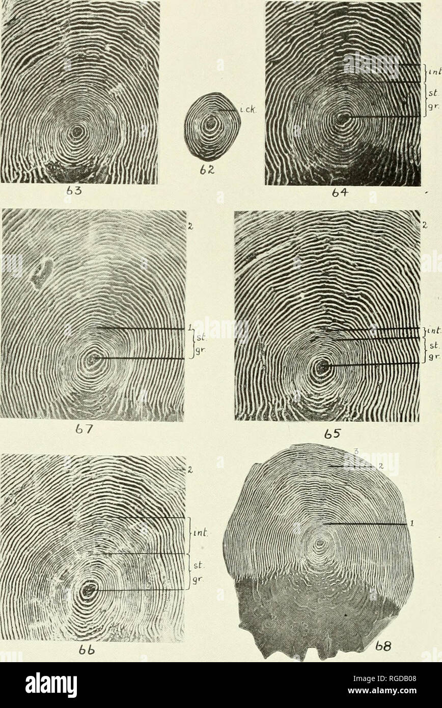 10 pounds scale hi-res stock photography and images - Alamy