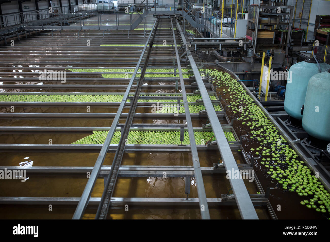 Green apples in factory being washed Stock Photo - Alamy