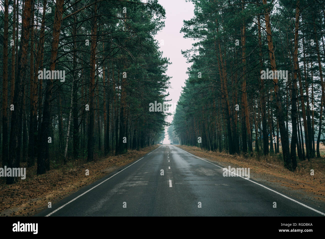 Empty road markings hi-res stock photography and images - Alamy