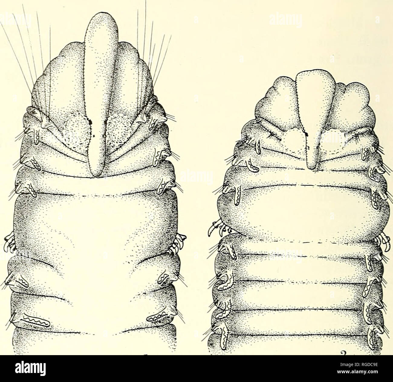 . Bulletin of the Southern California Academy of Sciences. Science ...