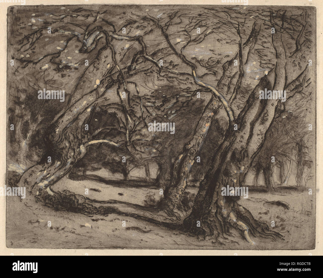 Samuel colman hi-res stock photography and images - Alamy