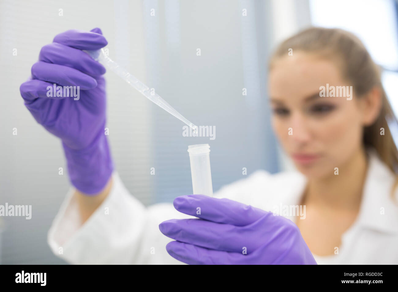 Lab technician pipetting Stock Photo - Alamy