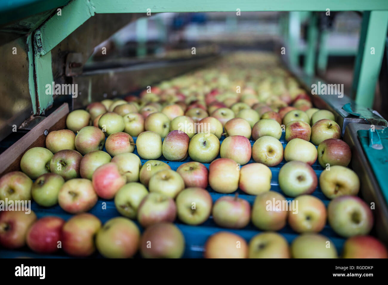 Factory conveyor belt hi-res stock photography and images - Alamy