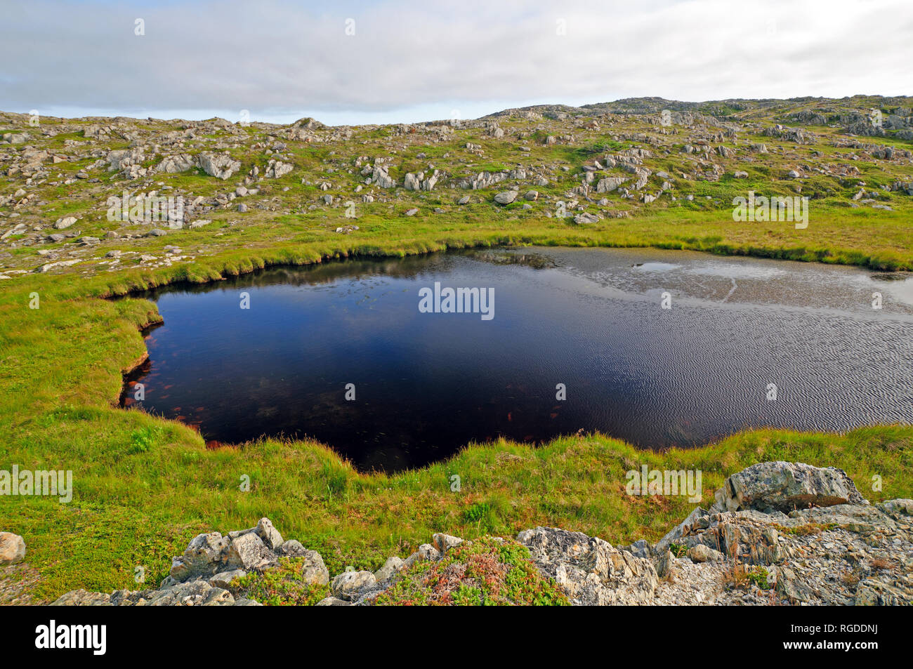 Arctic tundra biome hi-res stock photography and images - Alamy