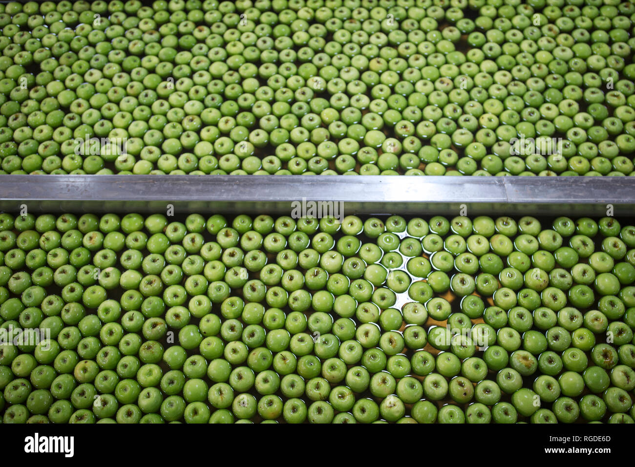 South africa food processing factory hi-res stock photography and ...